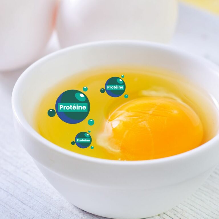 Oeuf pour chat : les bonnes pratiques pour un régime cru